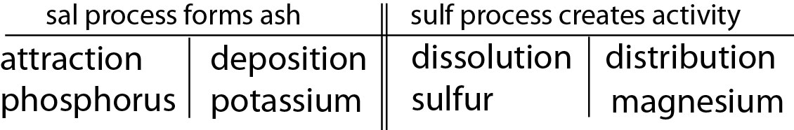 The Alchemy of Plant Hormones & Plant Spray Applications – Soil, Soul ...
